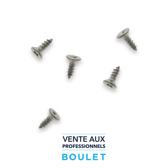 Kit de 200 vis + forêt pour raccord de rail KS encastrable